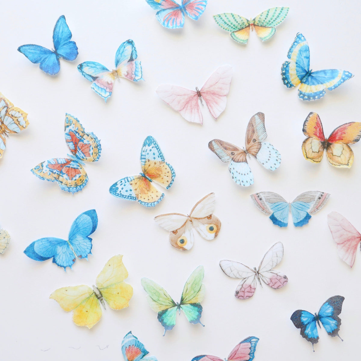 Edible Pre-Cut Wafer Butterfly - Assorted Colourful – Flour N Butter ...
