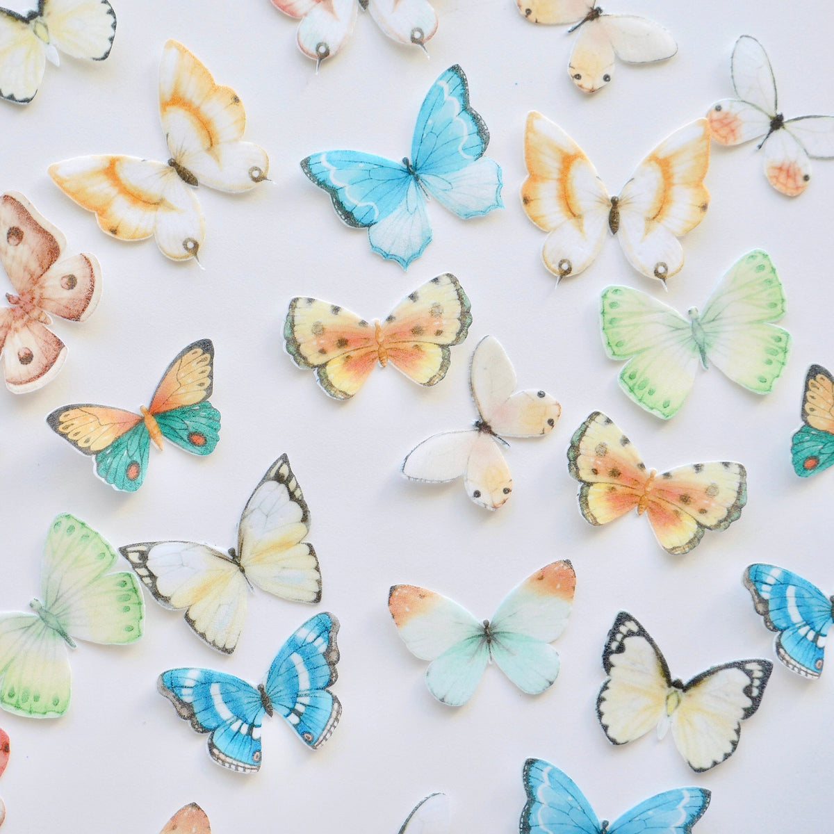 Edible Pre-Cut Wafer Butterfly - Assorted – Flour N Butter Desgins ...