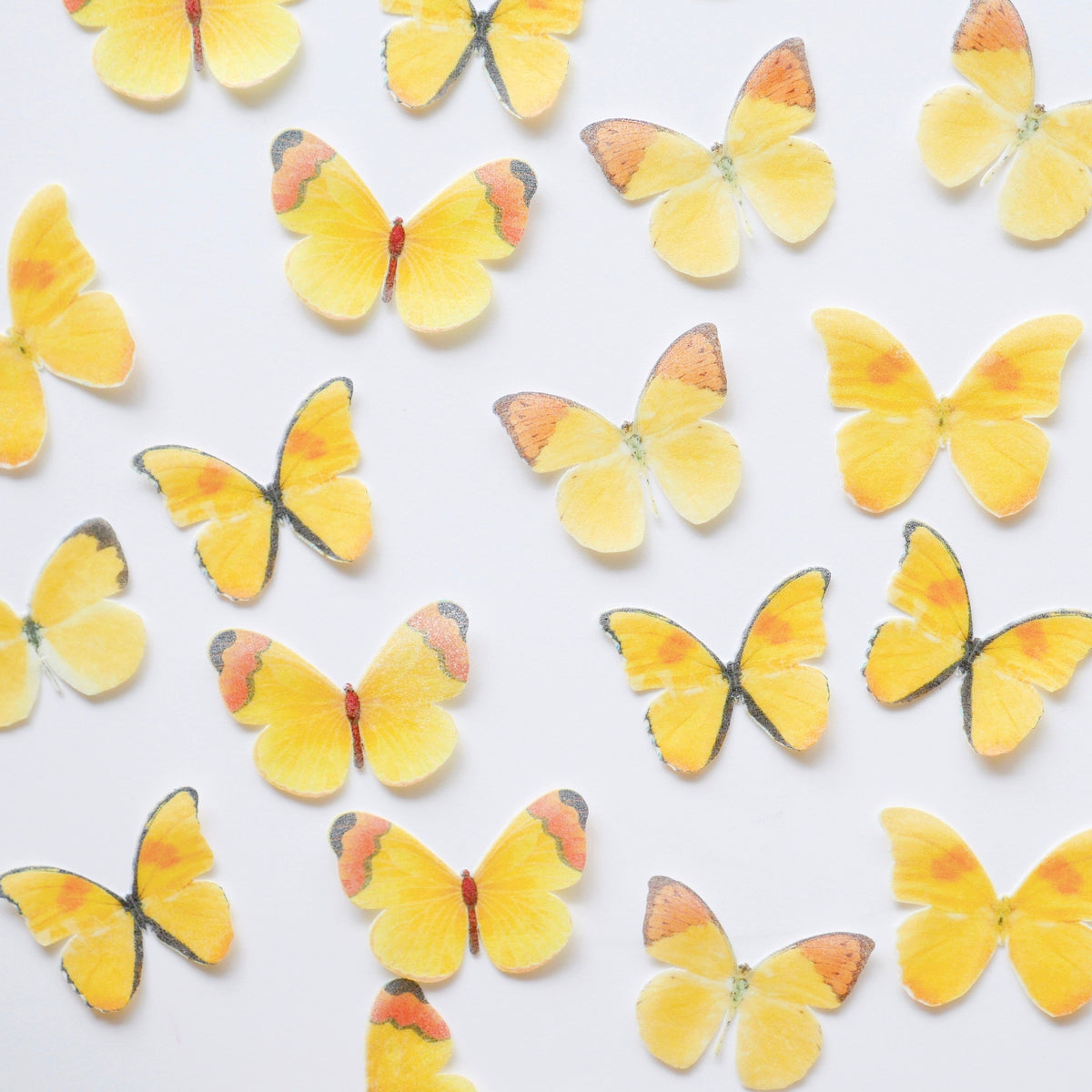 Edible Pre-Cut Wafer Butterfly - Yellow – Flour N Butter Desgins ...