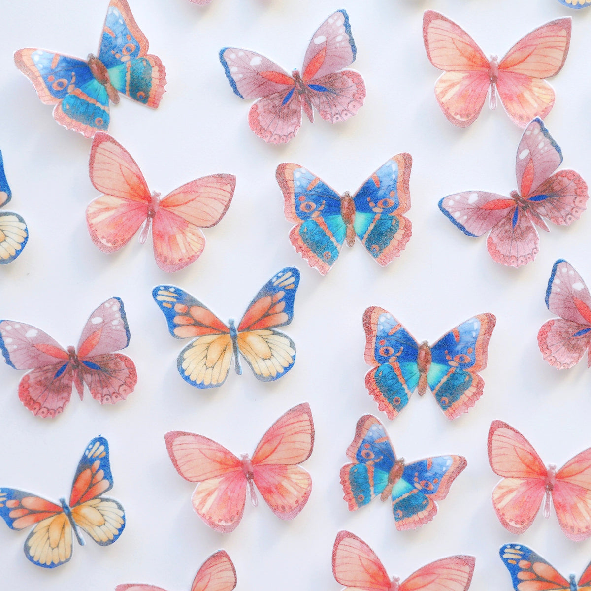 Edible Pre-Cut Wafer Butterfly - Red – Flour N Butter Desgins ...