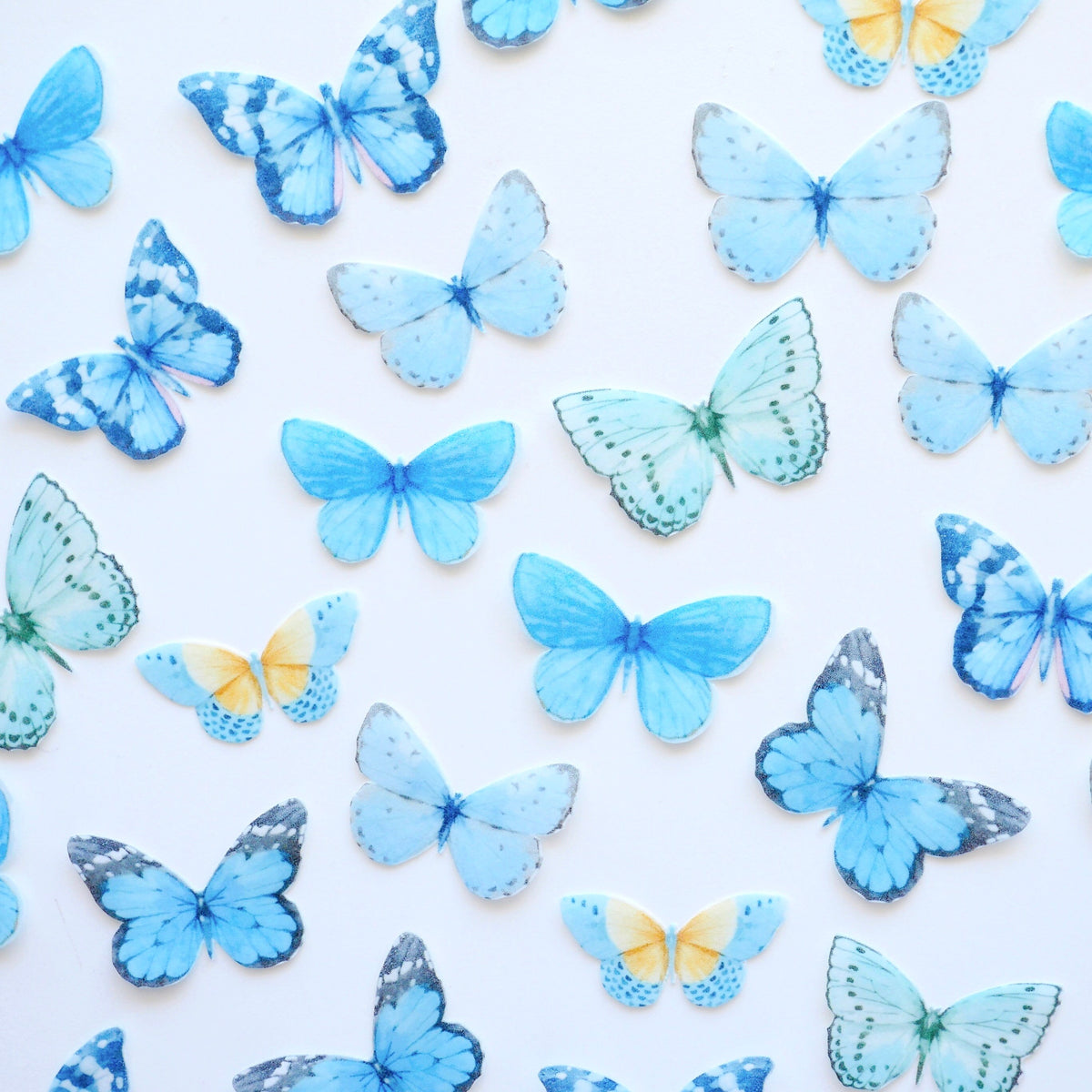 Edible Pre-Cut Wafer Butterfly - Blue – Flour N Butter Desgins ...