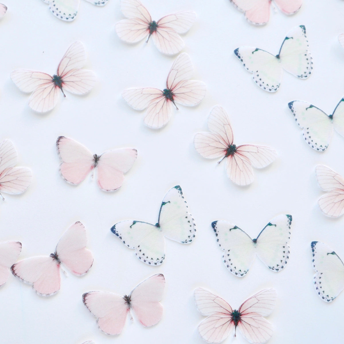 Edible Pre-Cut Wafer Butterfly - Pale Green and Pink – Flour N Butter ...