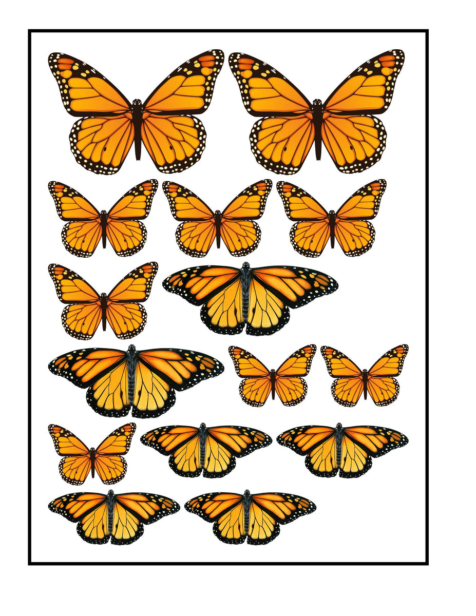 Edible Pre-Cut Wafer Butterfly - Orange Monarch Butterfly – Flour N ...