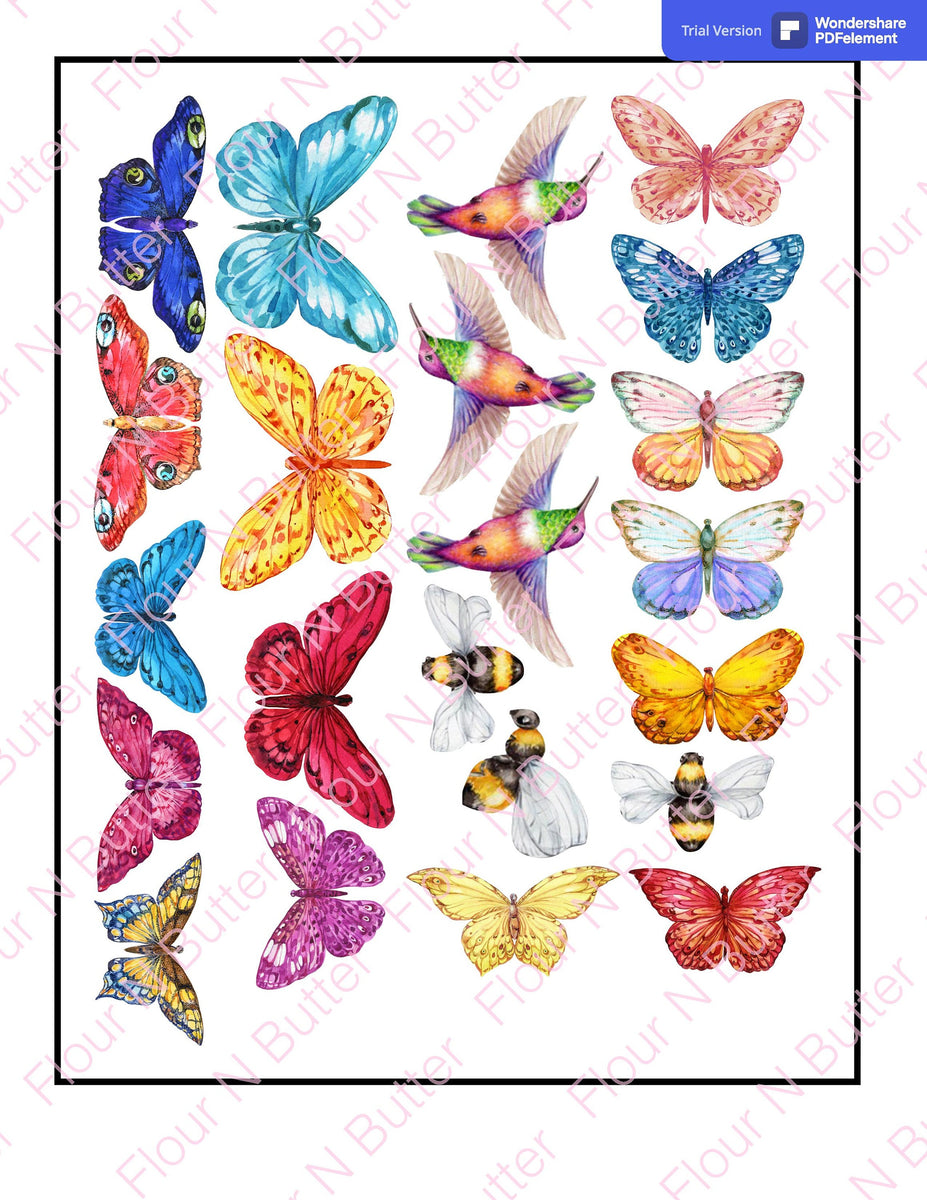 Edible Pre-Cut Wafer Butterfly - Hummingbird and colourful butterfly ...